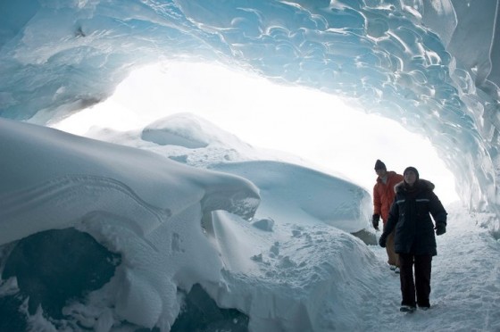 THE THING Red Band Trailer – We Are Movie Geeks